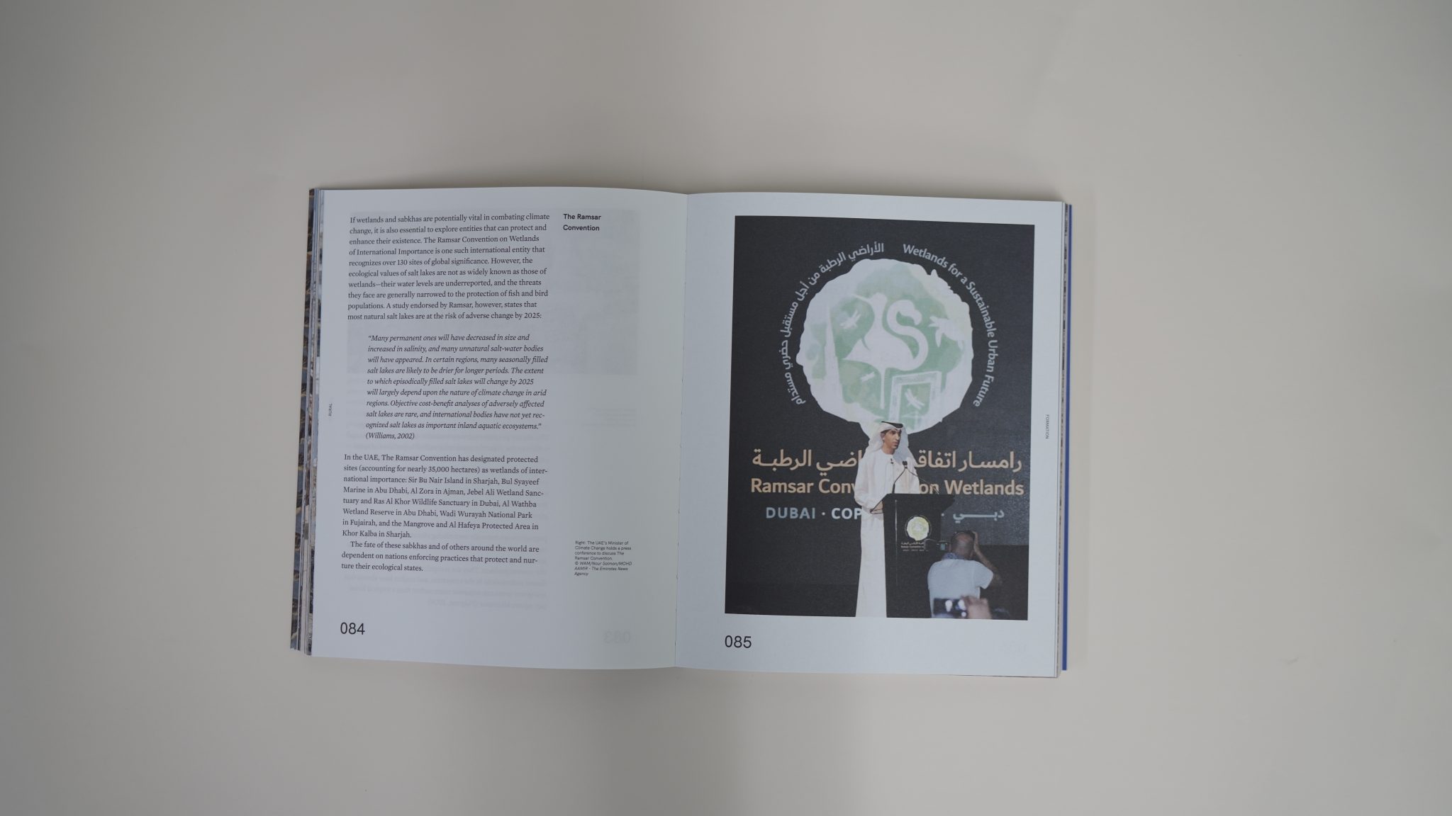 The Anatomy of Sabkhas – Canvas