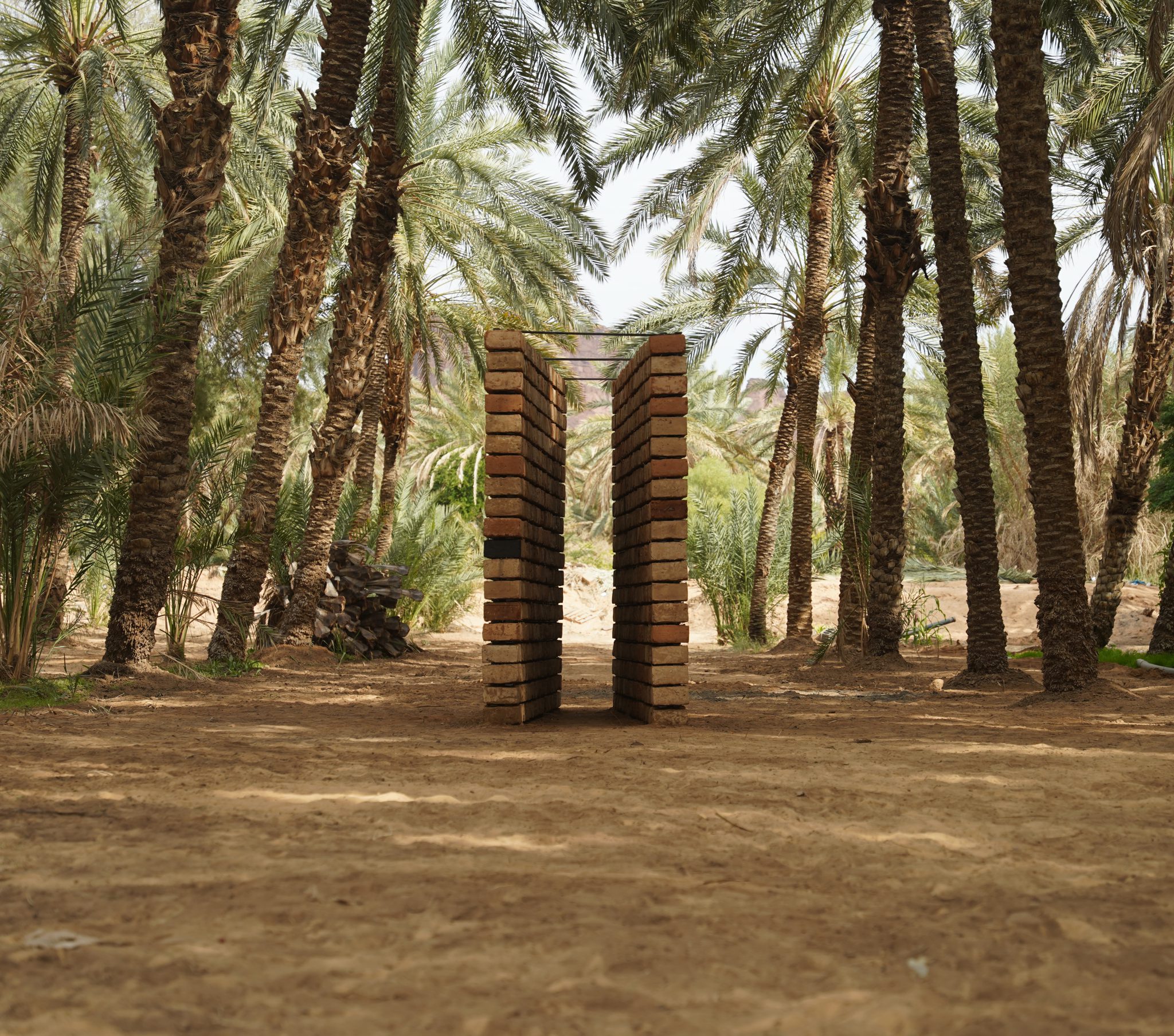 Talin Hazbar – Canvas