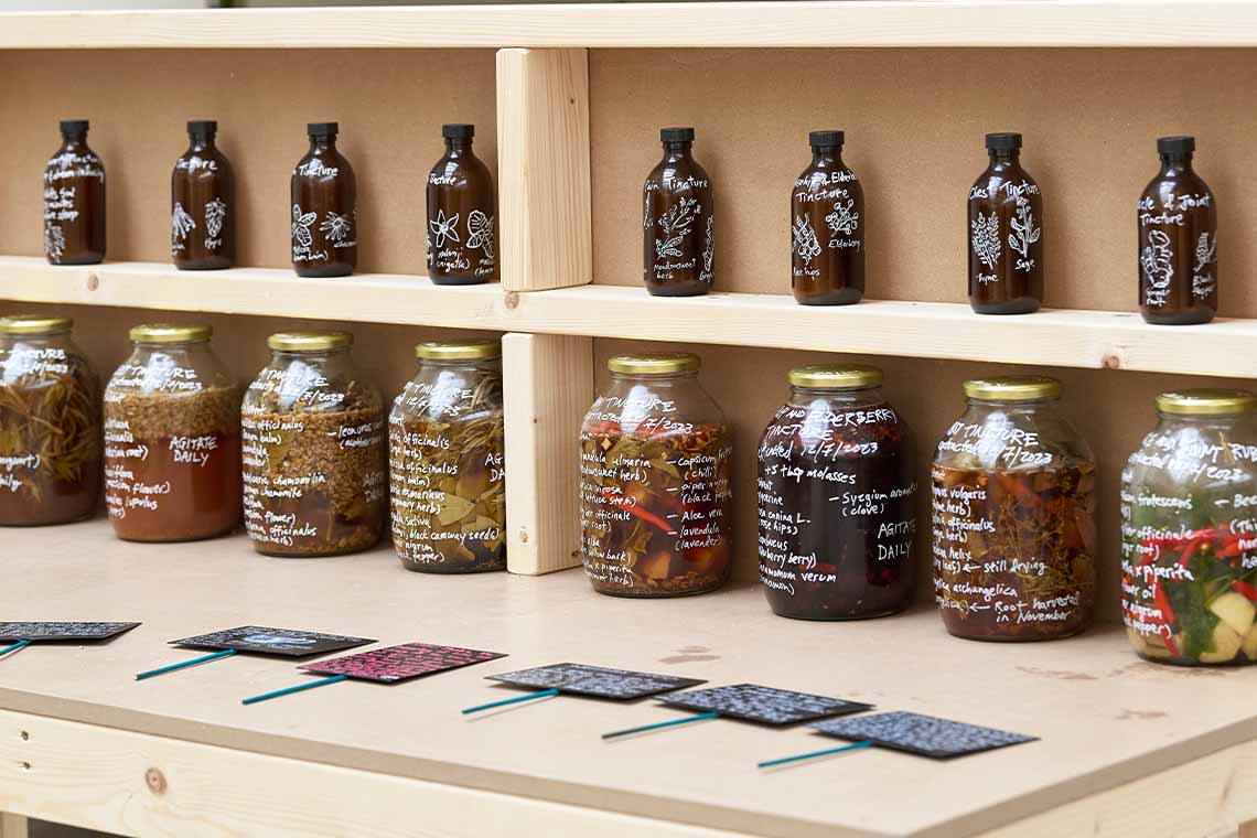 Roots of Hope and Remembrance: Michael Rakowitz at Baltic – Canvas